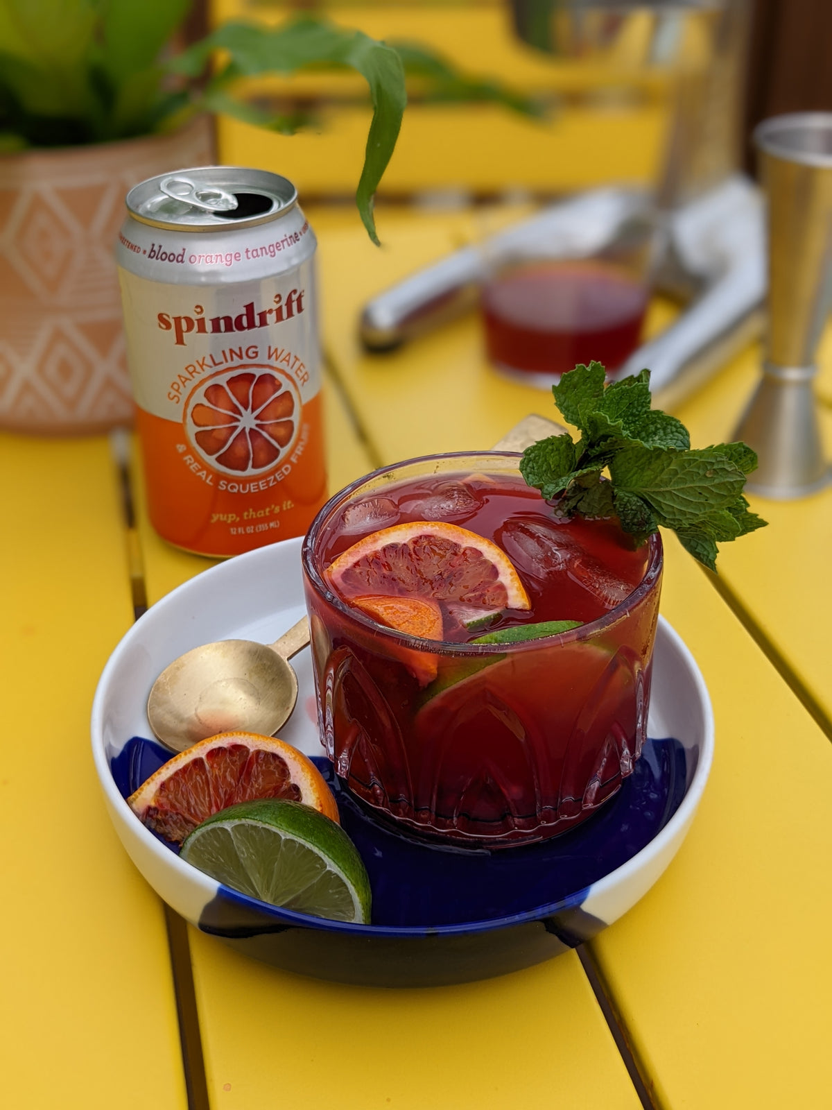 Blood Orange Spritz Recipe | Spindrift
