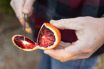 Fuji Apple Sparkling Water | Spindrift