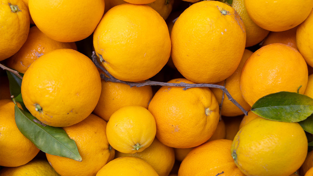 Spindrift® Sparkling Water | Best Sparkling Water