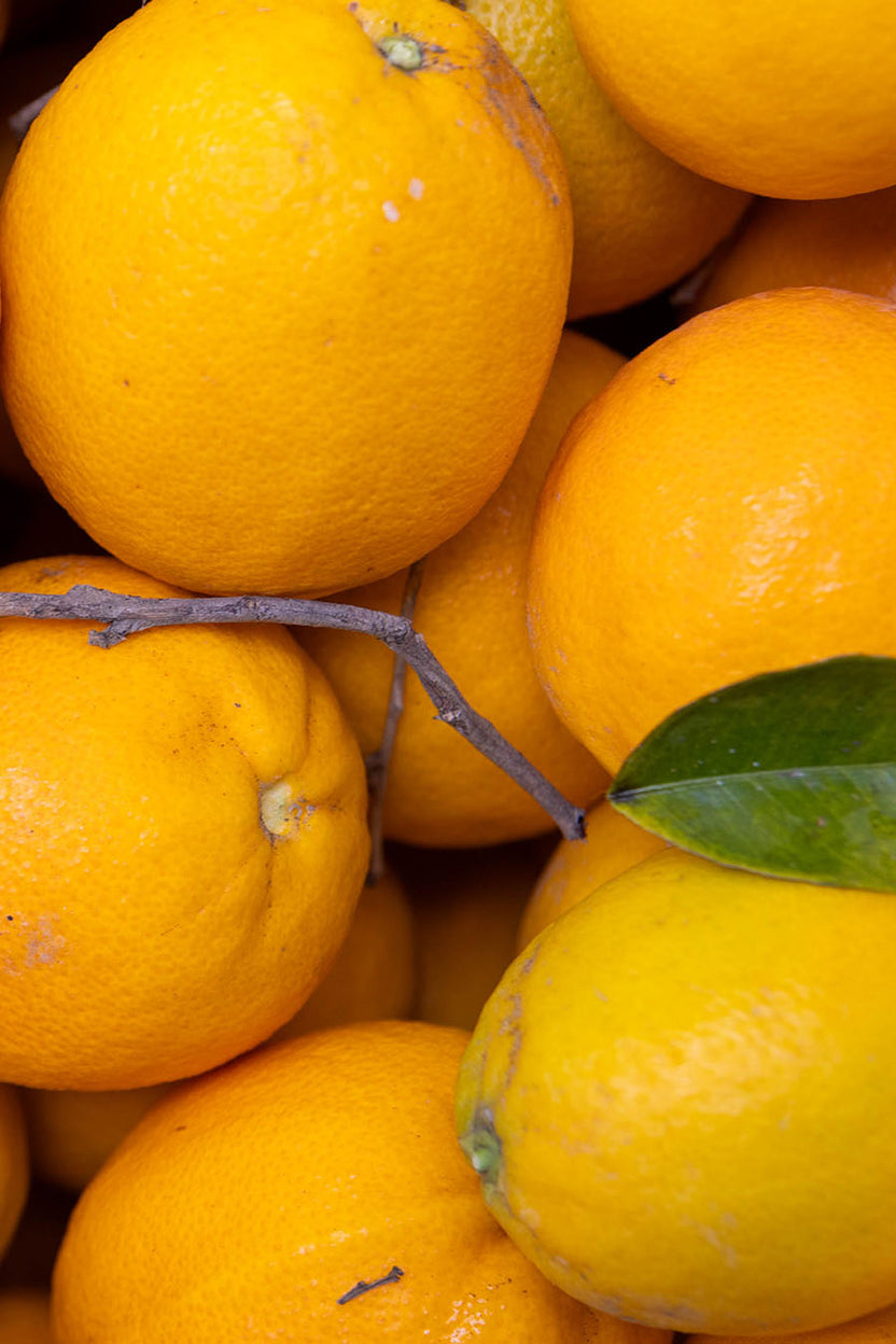 Spindrift® Sparkling Water | Best Sparkling Water